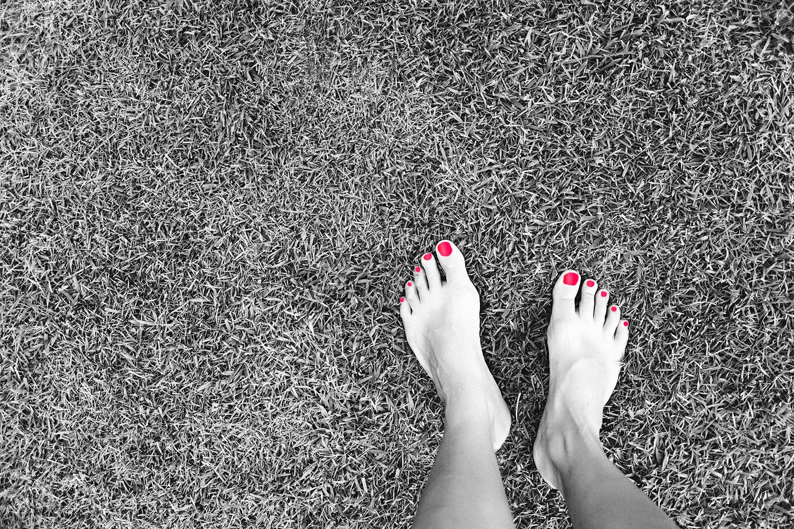 When your neighbor’s kids won’t stop trespassing, in this week’s Dear ...