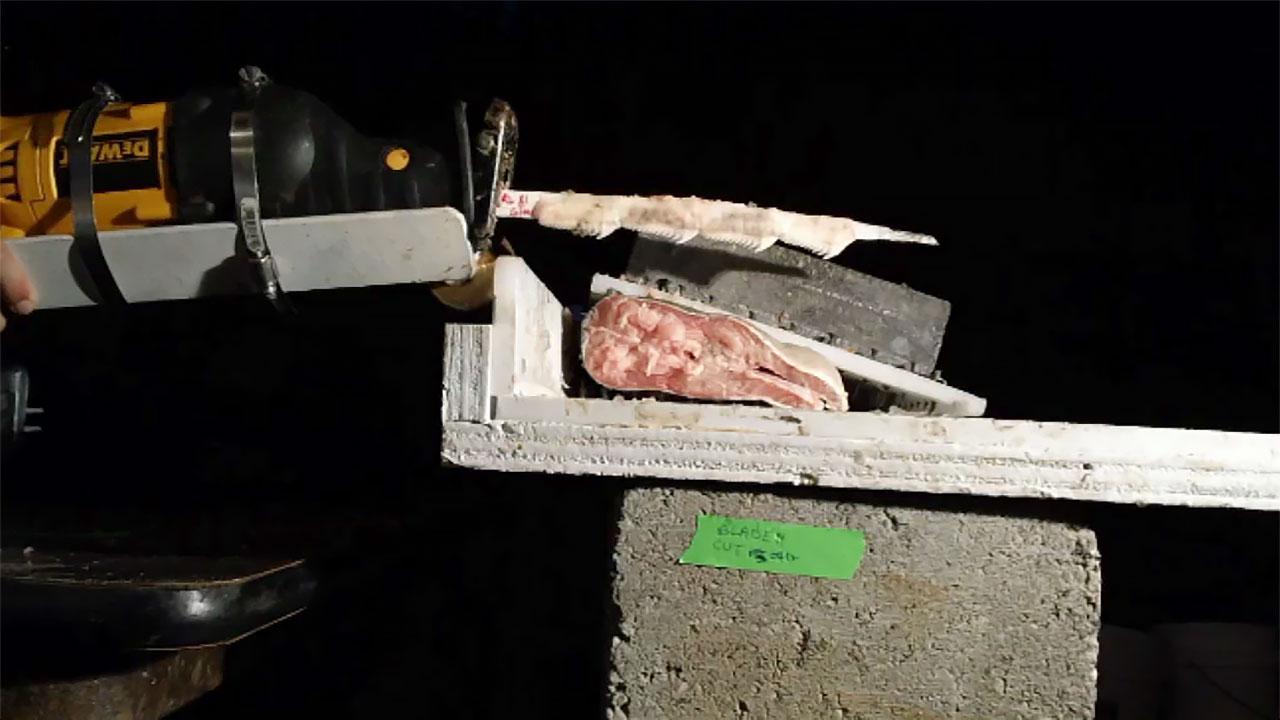 Shark-tooth saw: Jawzall made from shark teeth tested (VIDEO).