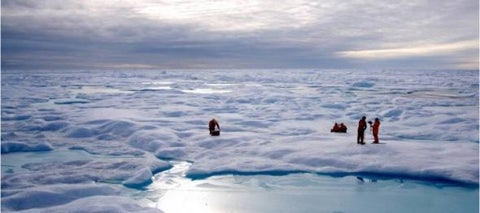 The last time the Arctic was ice-free in summer, modern humans didn't ...