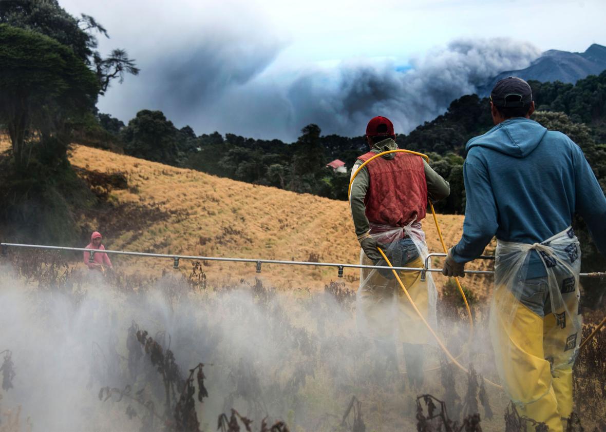 Climate change is already happening in Costa Rica.