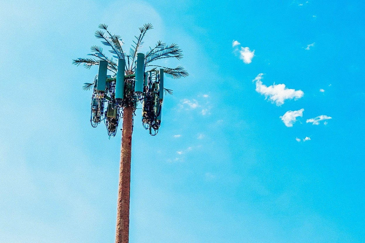 99% Invisible City: The history of fake-tree cellphone towers.