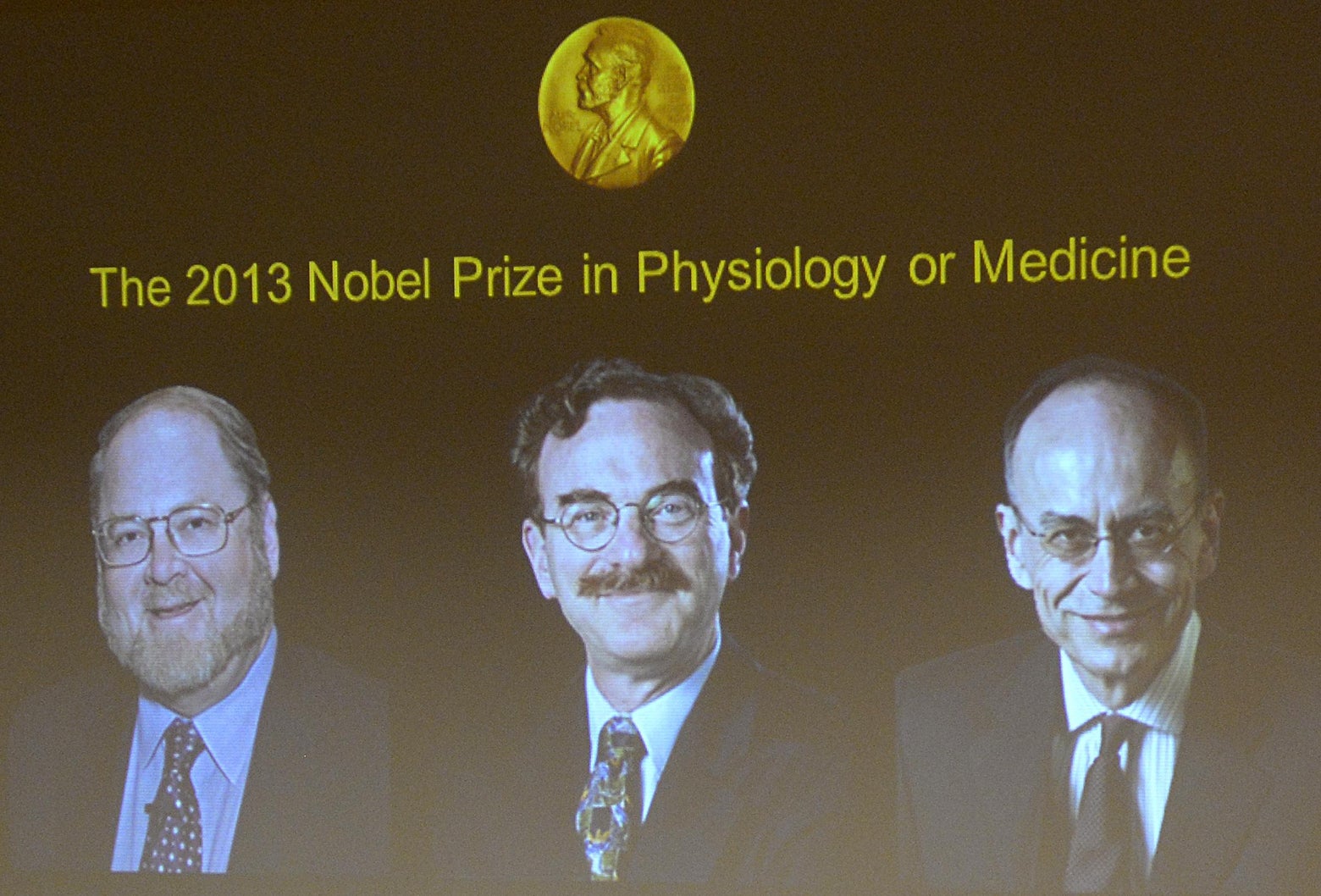 2013 Nobel Prize: James Rothman, Randy Schekman, and Thomas Sudhof, win ...