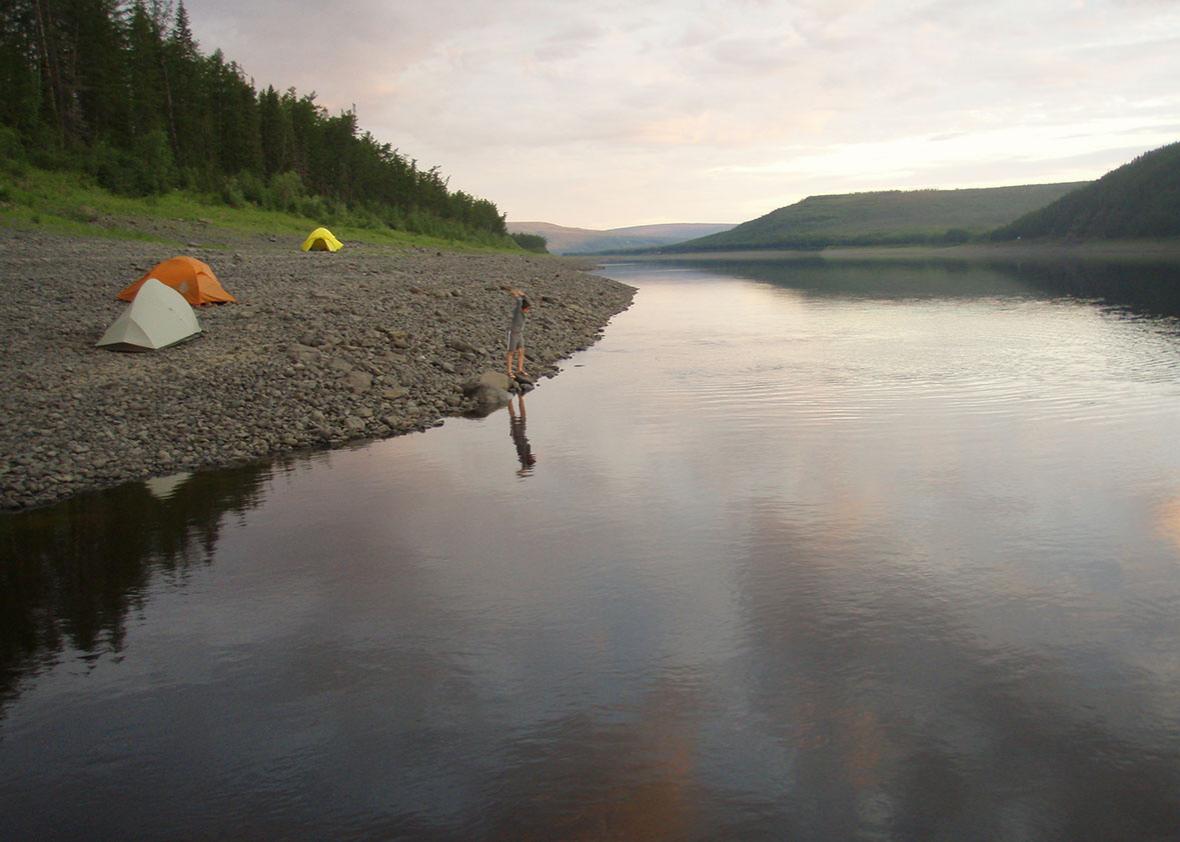 Siberian flood basalts: The Earth’s largest extinction and climate change.