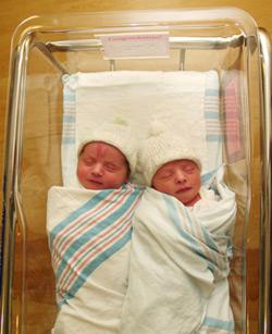 The methodological confusion of twin studies.