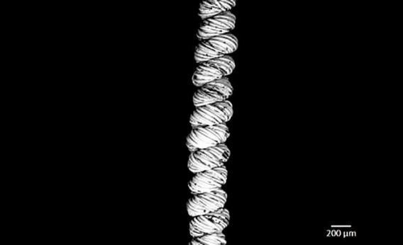 Fishing line and artificial muscle: is the new supermaterial already in ...