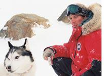 The genteel dogs of Eight Below.