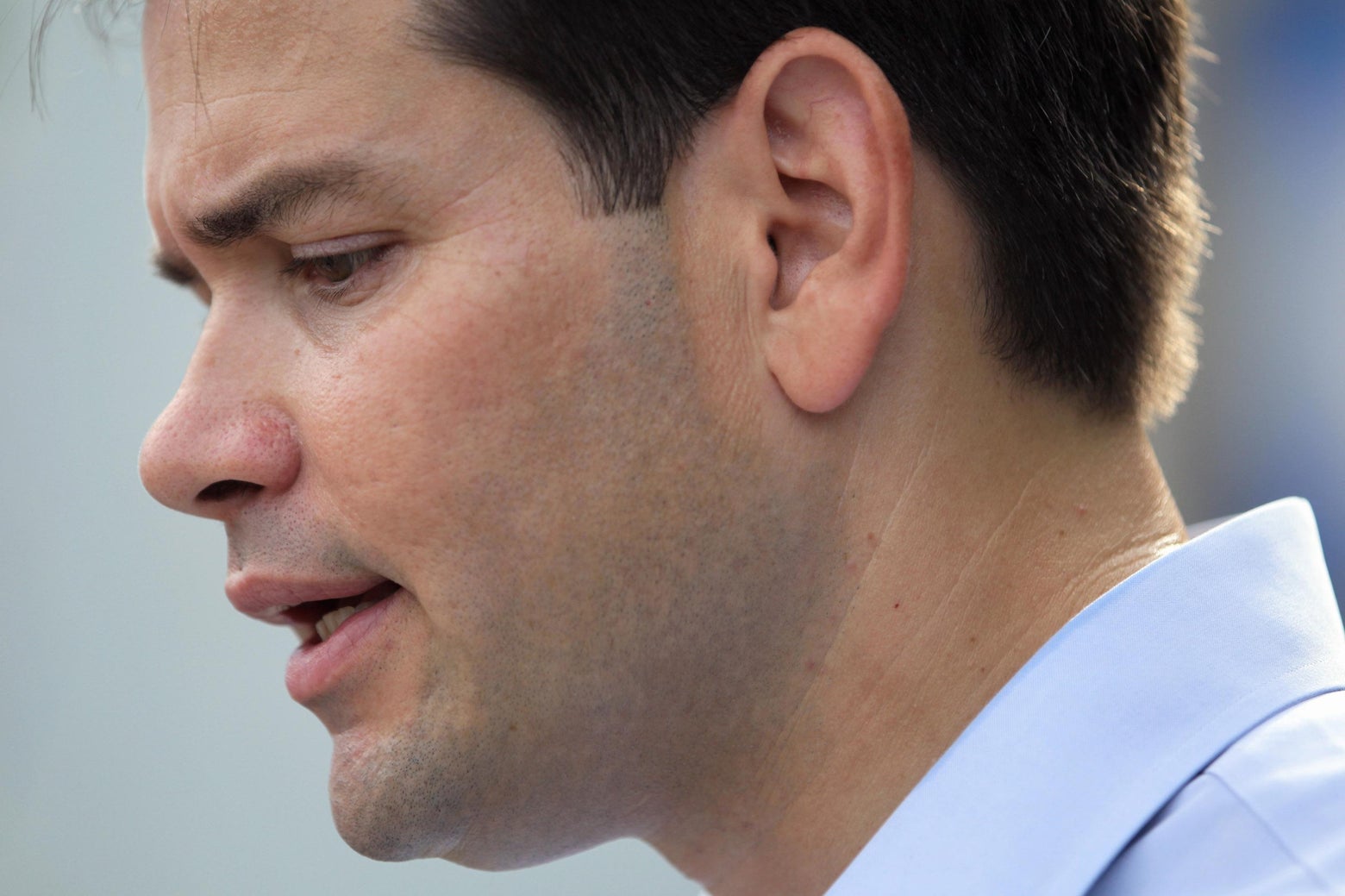 Rubio and immigration reform.