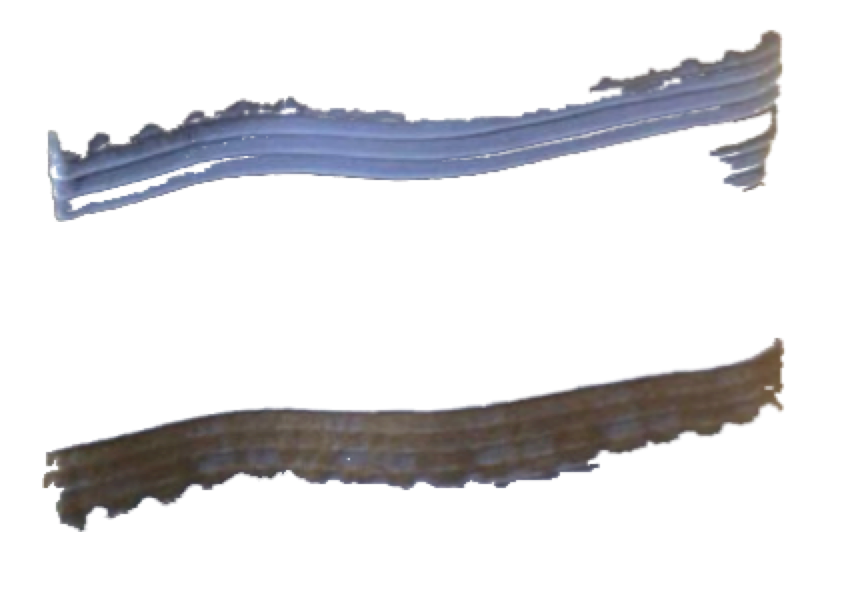 What color is this dress: A scientist explains visual ambiguity and ...