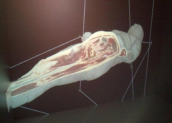 Interactive anatomy video: Michigan Immersive Digital Experience Nexus ...