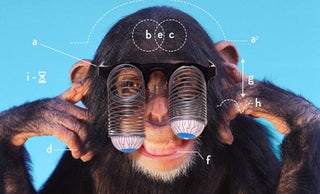 Do animals have a sense of humor? New evidence suggests that all ...