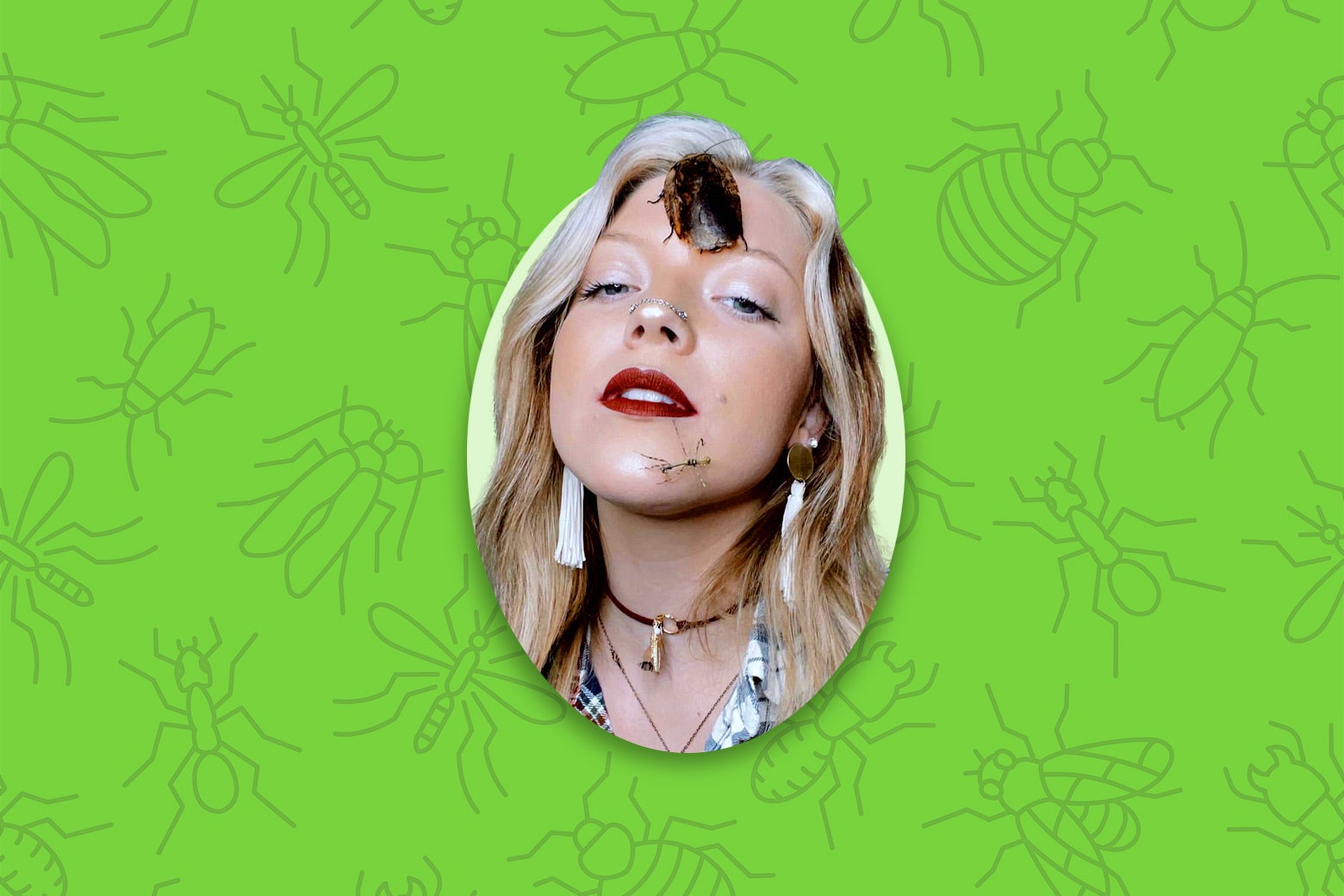 Bugs as pets: These young female TikTok influencers have plenty.