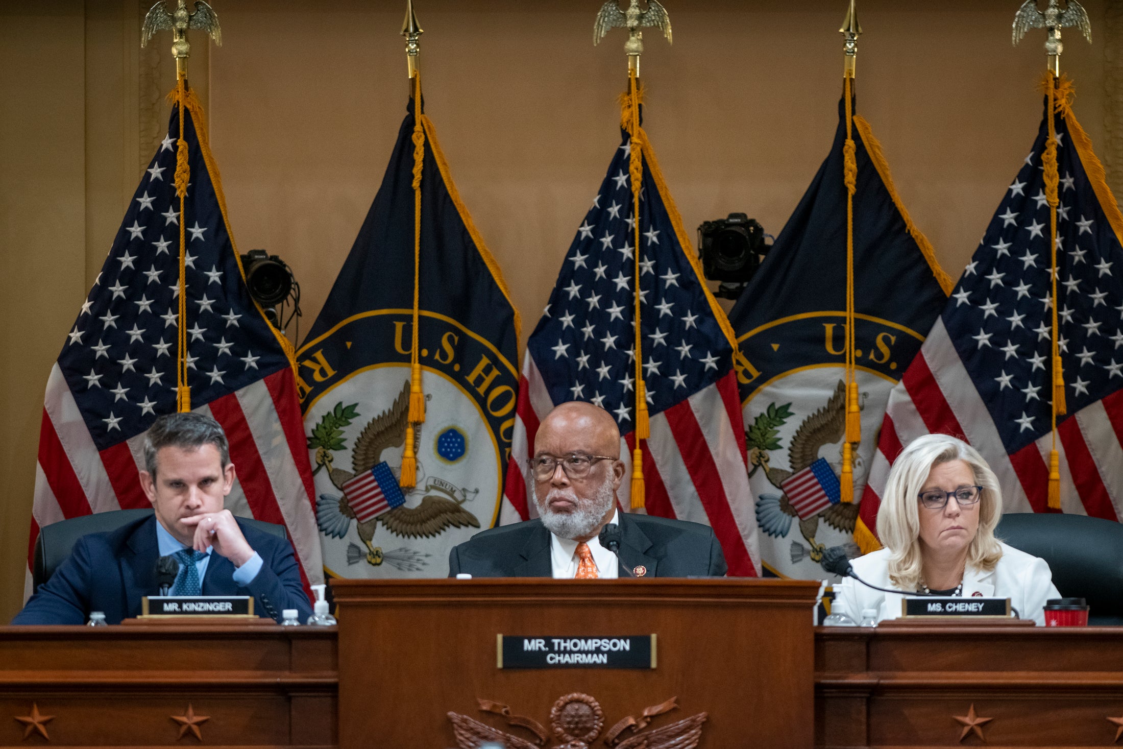 Jan. 6 hearings: An ex-Virginia Congressman, Denver Riggleman, wrote a ...