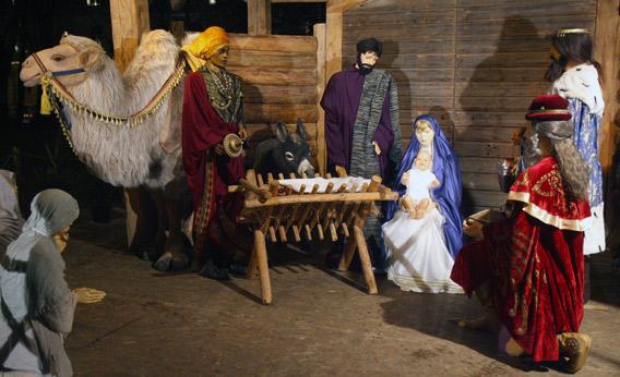 History of the Christmas crèche: St. Francis invented the nativity scene.