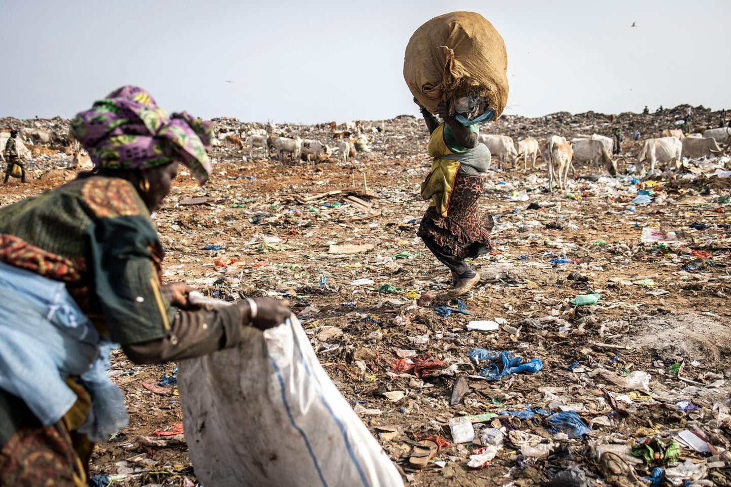 U.N. plastics treaty: Waste pickers are fighting for a fairer climate ...