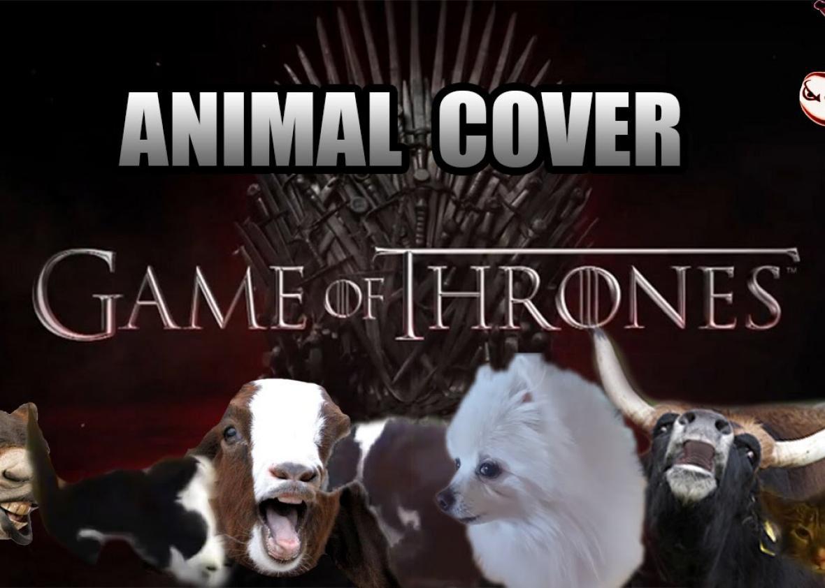Game of Thrones theme as sung by animals is the definitive version (VIDEO).