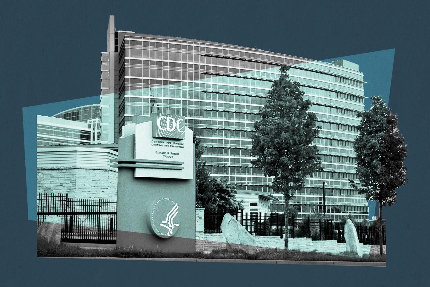 The CDC has been on a steady decline. We’re just finally noticing.