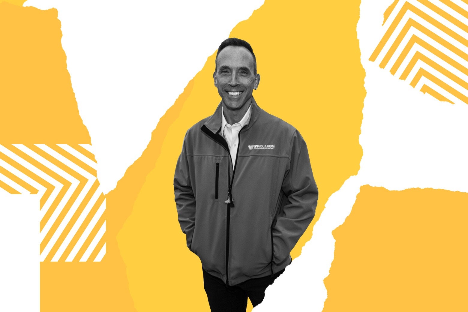 How does an aquarium director do his job?