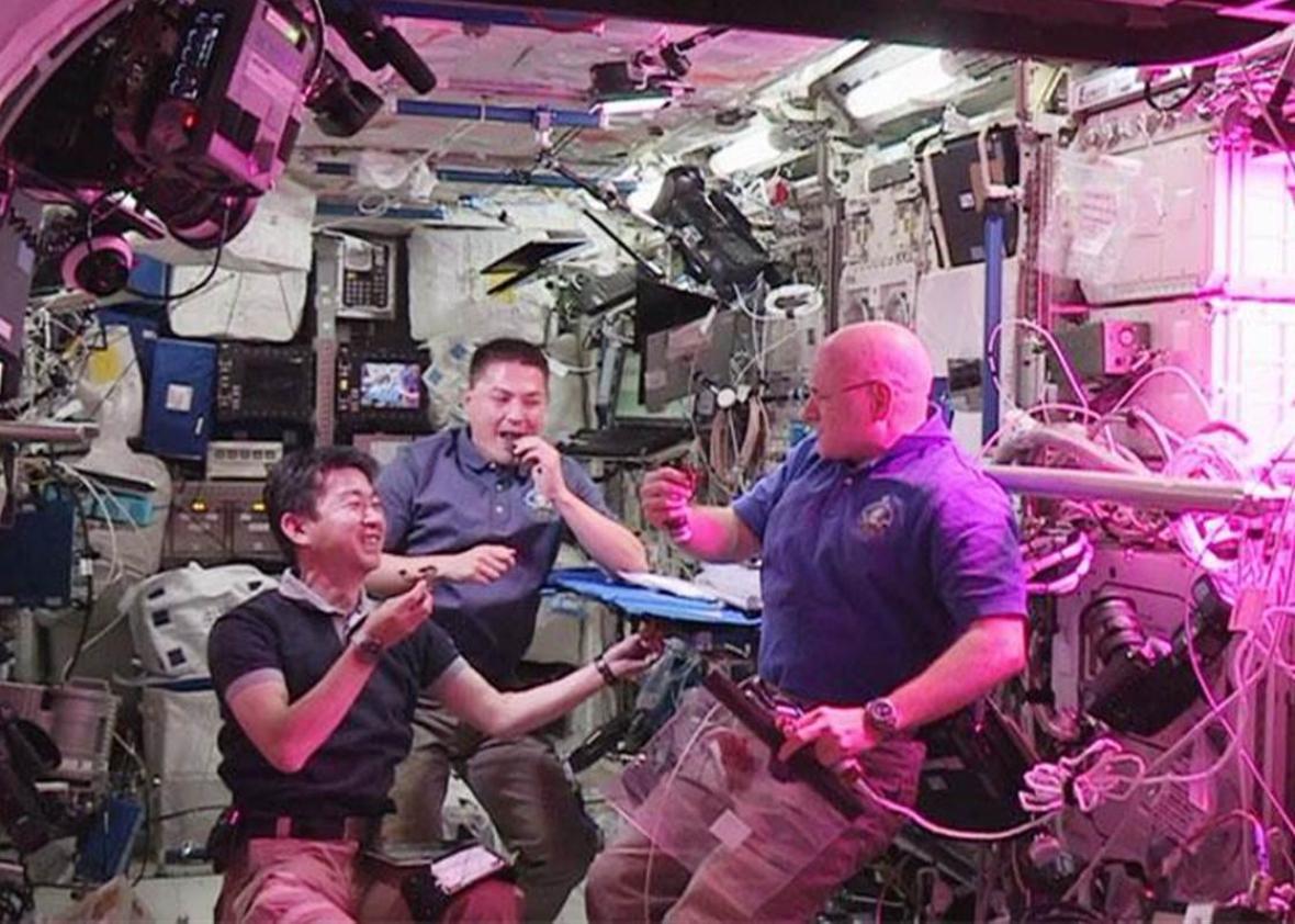 Vegetables grown in space: NASA astronauts eat first lettuce on ISS ...