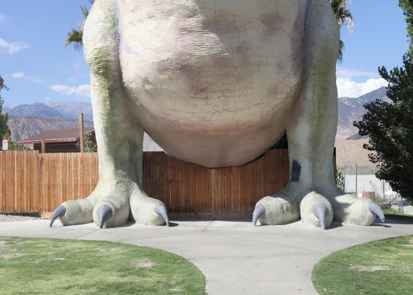 Dinosaur sex: T. Rex Autopsy on National Geographic Channel.