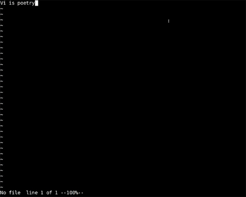 Oldest software rivalry: Emacs and Vi, two text editors used by programmers.