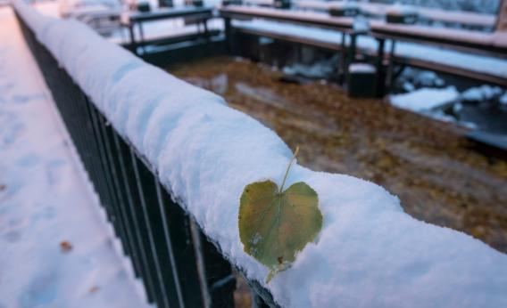 Jennifer Rosoff’s death and the Associated Press’s sexist reporting of it.