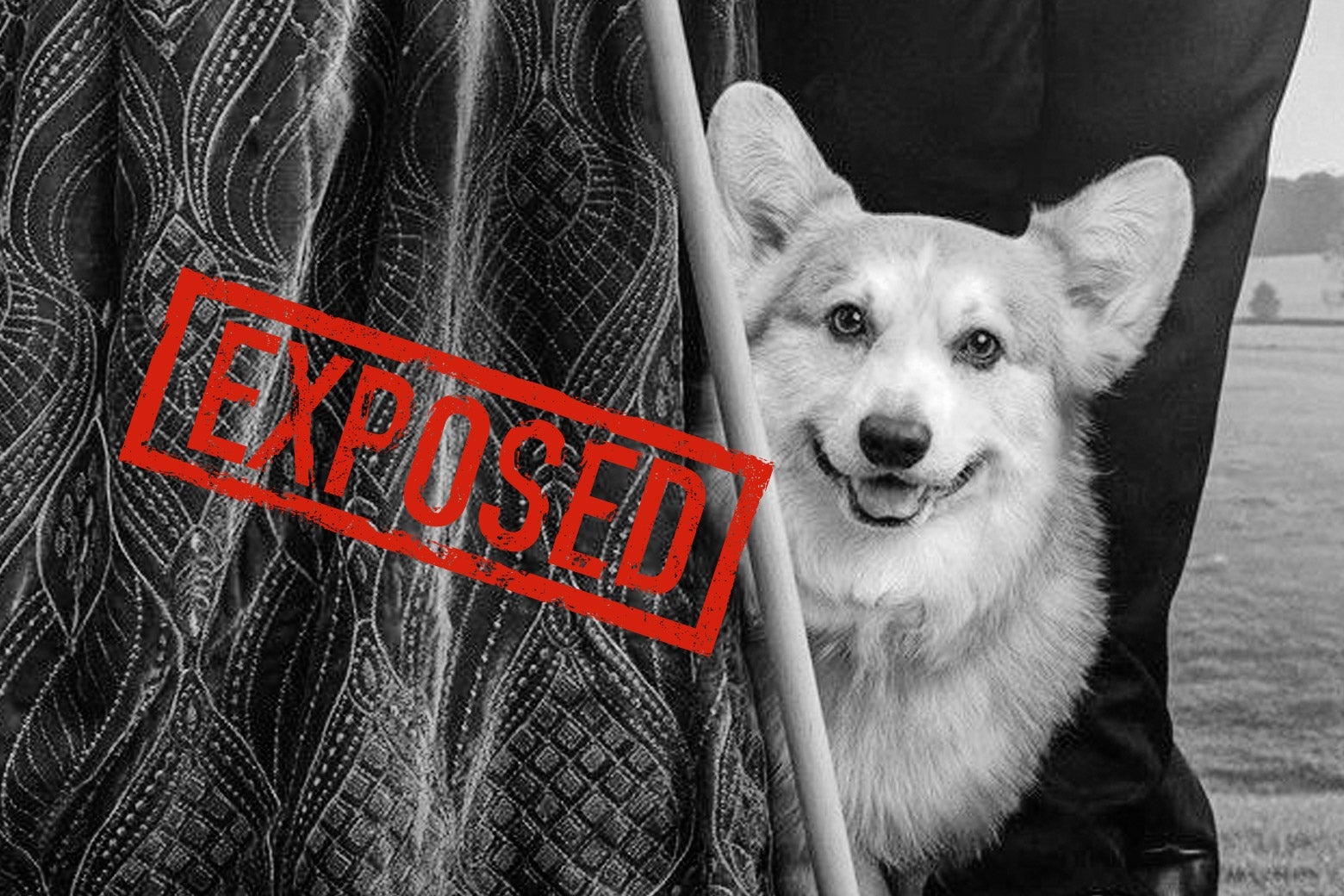 Bridgerton Season 2: Kate Sharma’s corgi is egregiously historically ...