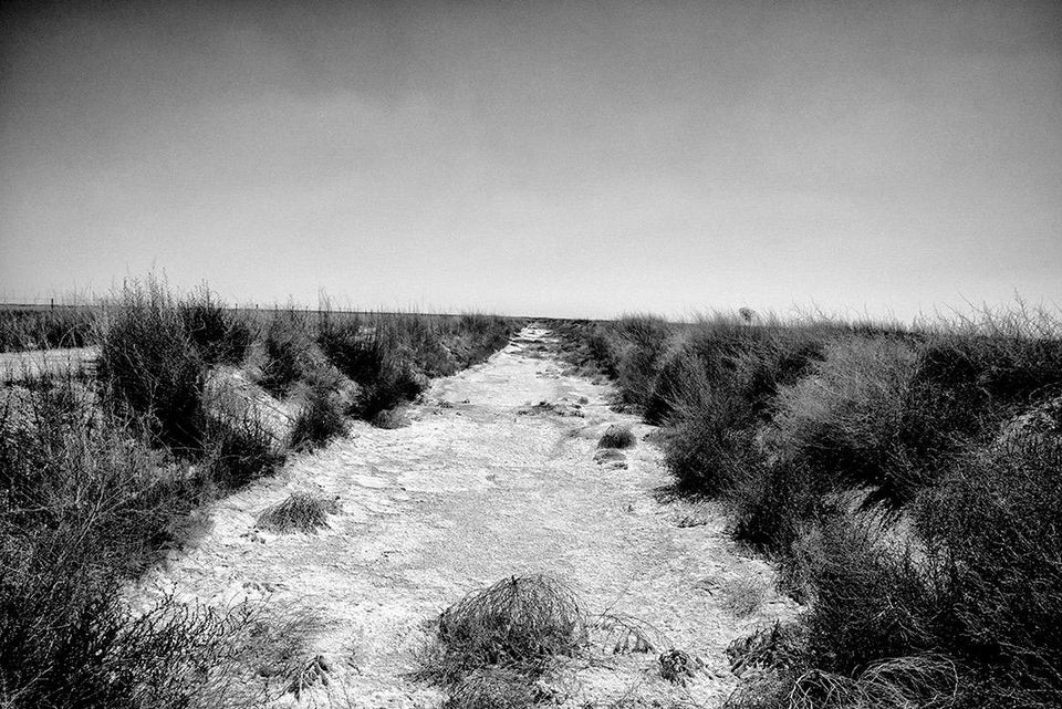California Central Valley agriculture: Drought and climate change (PHOTOS).