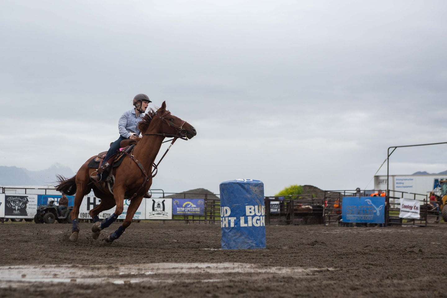 Photo essay: Hot seal meat and hotter takes at the Alaska State Fair.