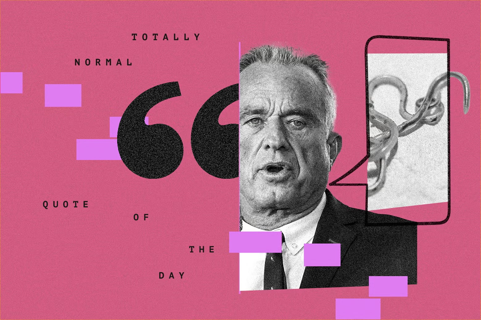 Robert F. Kennedy Jr. brain worm: Divorce, alimony, suicide make this ...