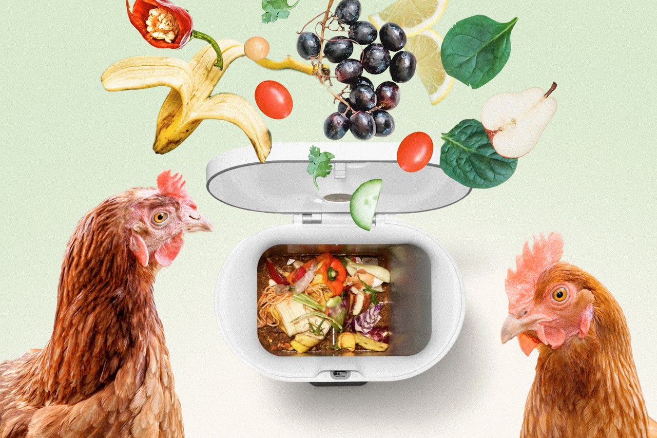 How to recycle food scraps: Composting vs. Mill’s bin.