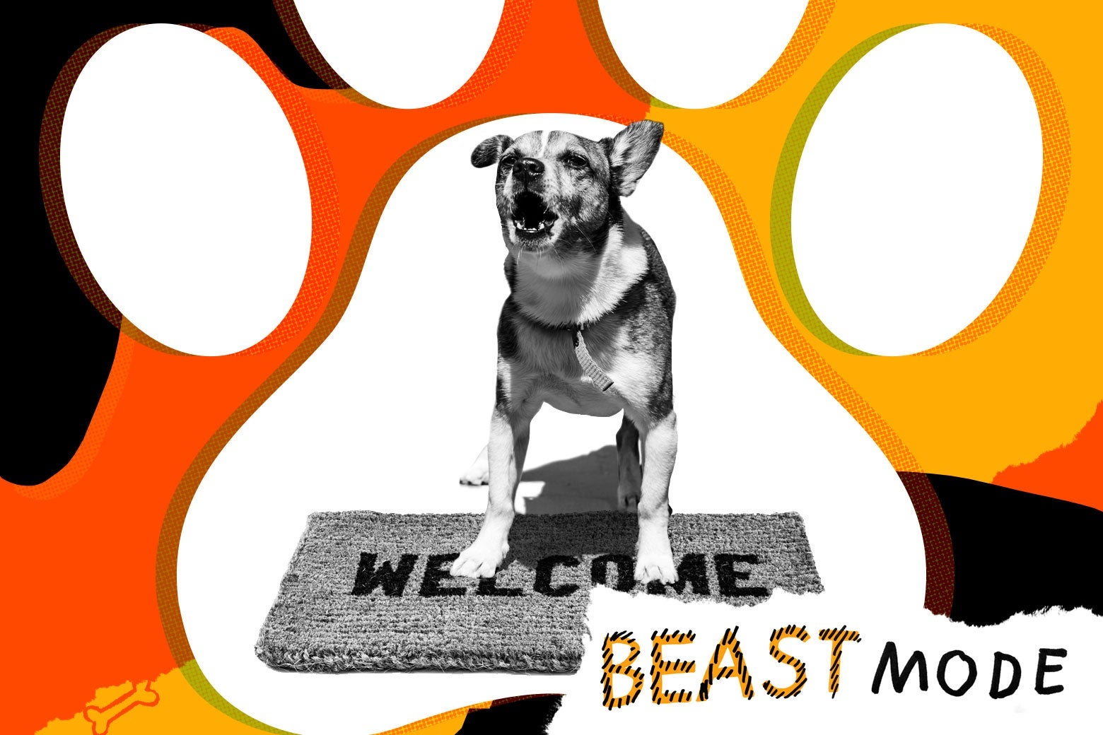 My dog barks and snarls at my neighbors: pet advice from Beast Mode.