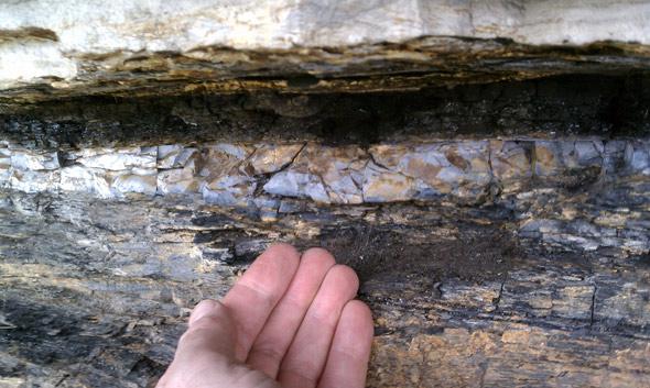 The K-Pg boundary: Layer of rock shows how the dinosaurs died.