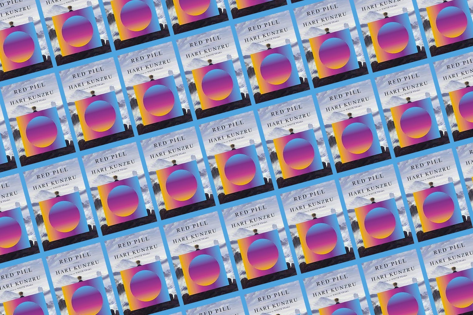 Red Pill review: Hari Kunzru’s new novel goes down the alt-right rabbit ...