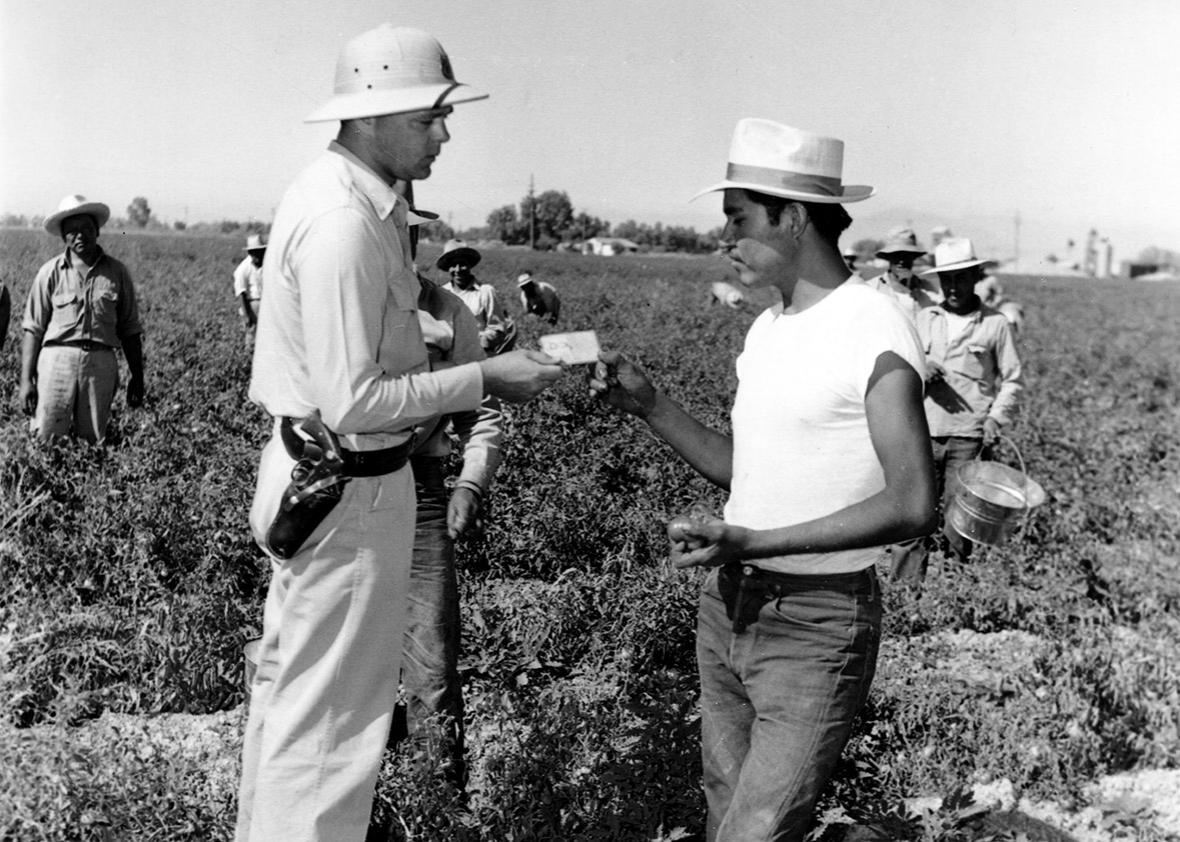 Donald Trump, mass deportation, and the tragic history of Operation ...