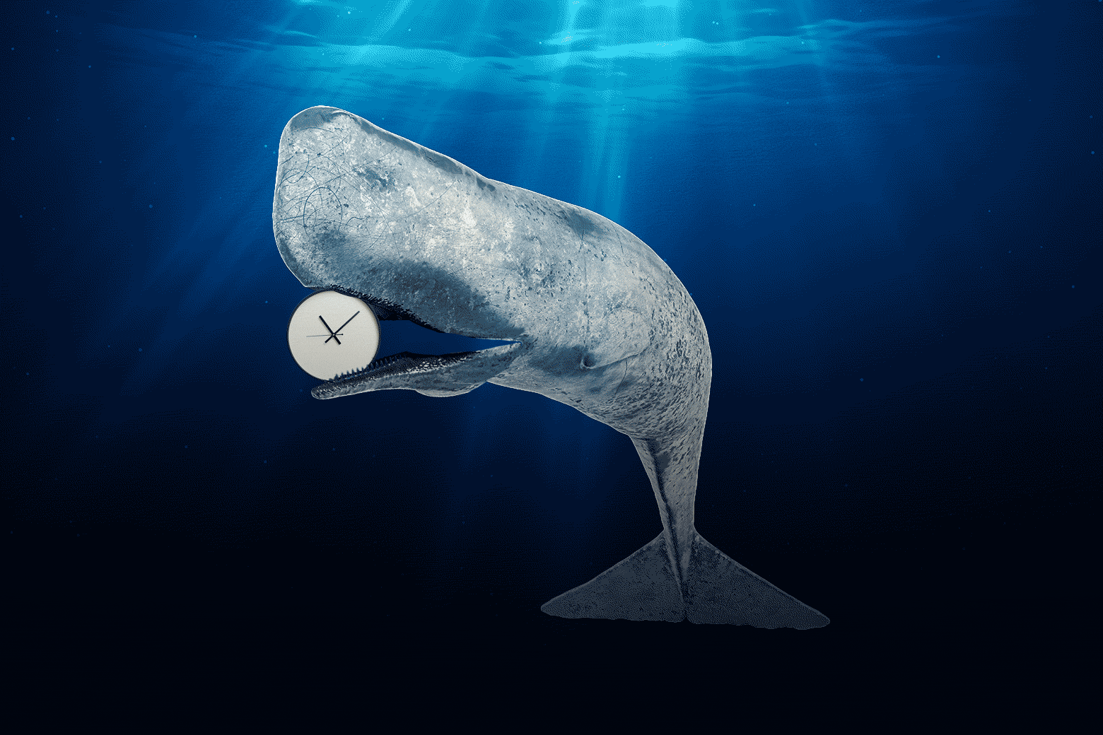 Moby-Dick book: I tried to survive a 24-hour reading marathon. It hurt ...