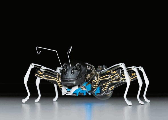 Robot ants: Bionic insects work together to move objects (VIDEO).