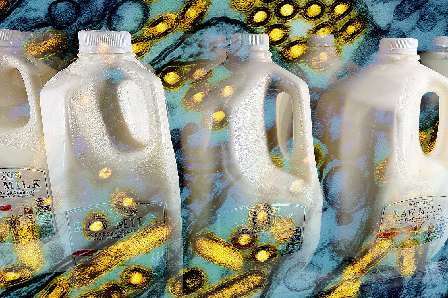 Bird flu: How raw milk could usher in a pandemic.