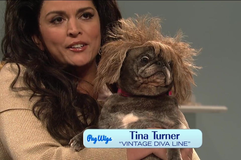SNL pug wigs: Jonah Hill puts a bunch of wigs on dogs and it’s ...
