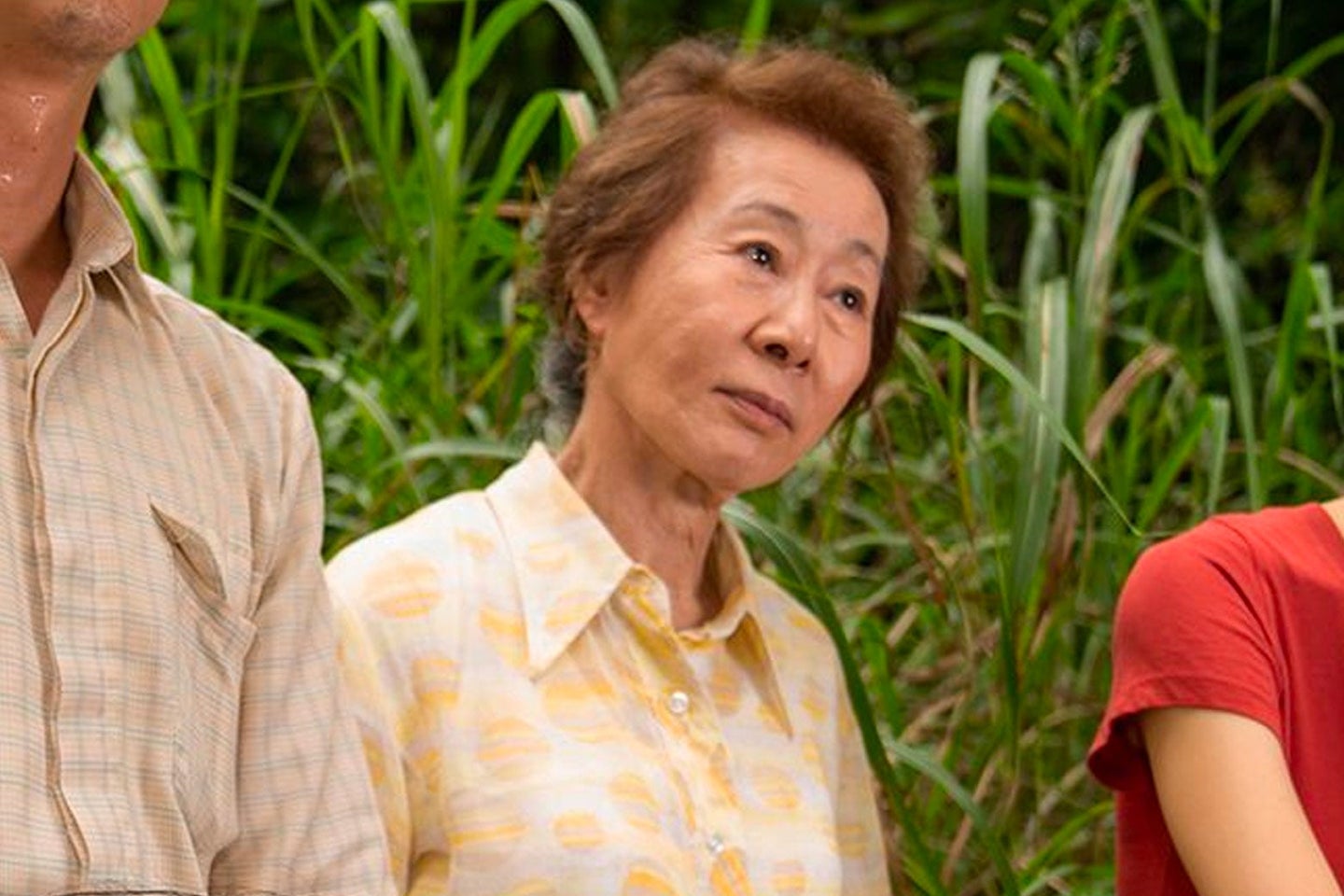 What is minari? Recipes and a history of the Korean vegetable in the ...