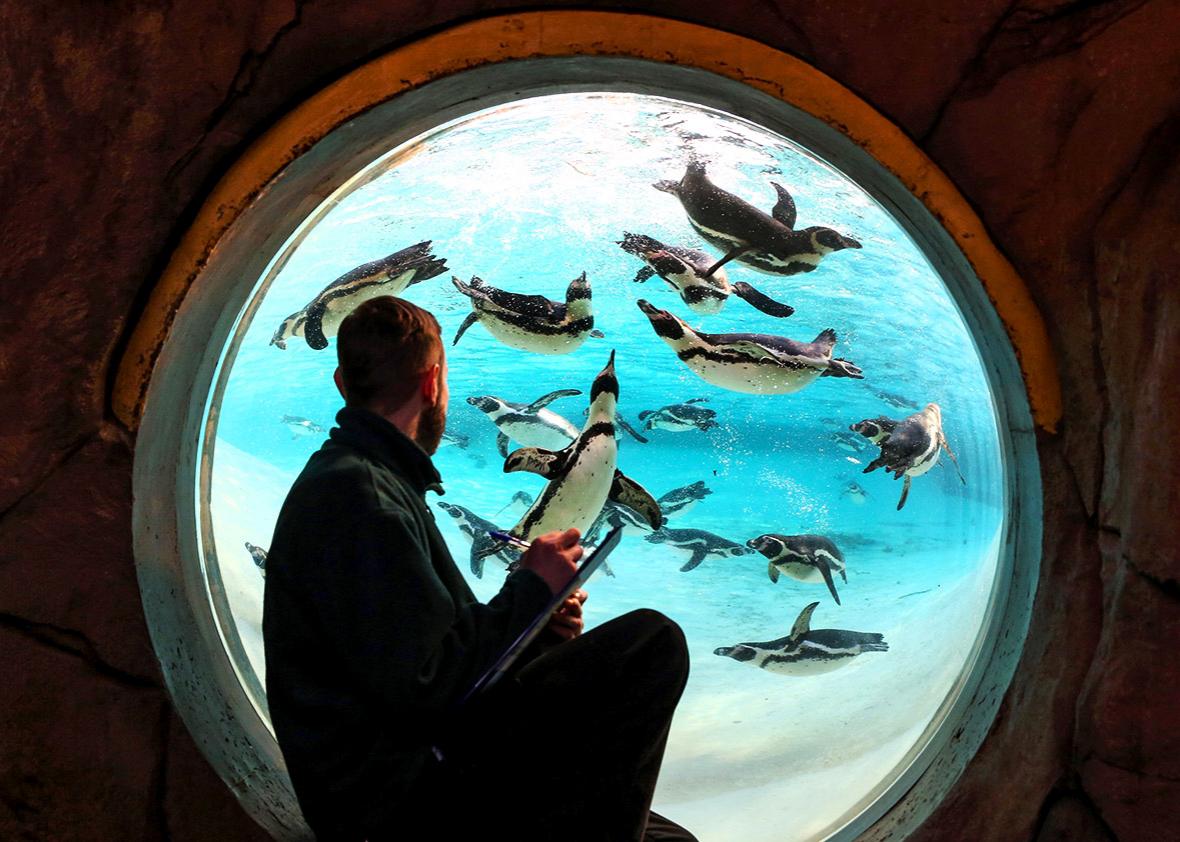 New York City’s Climate Museum looks to the future of global warming.