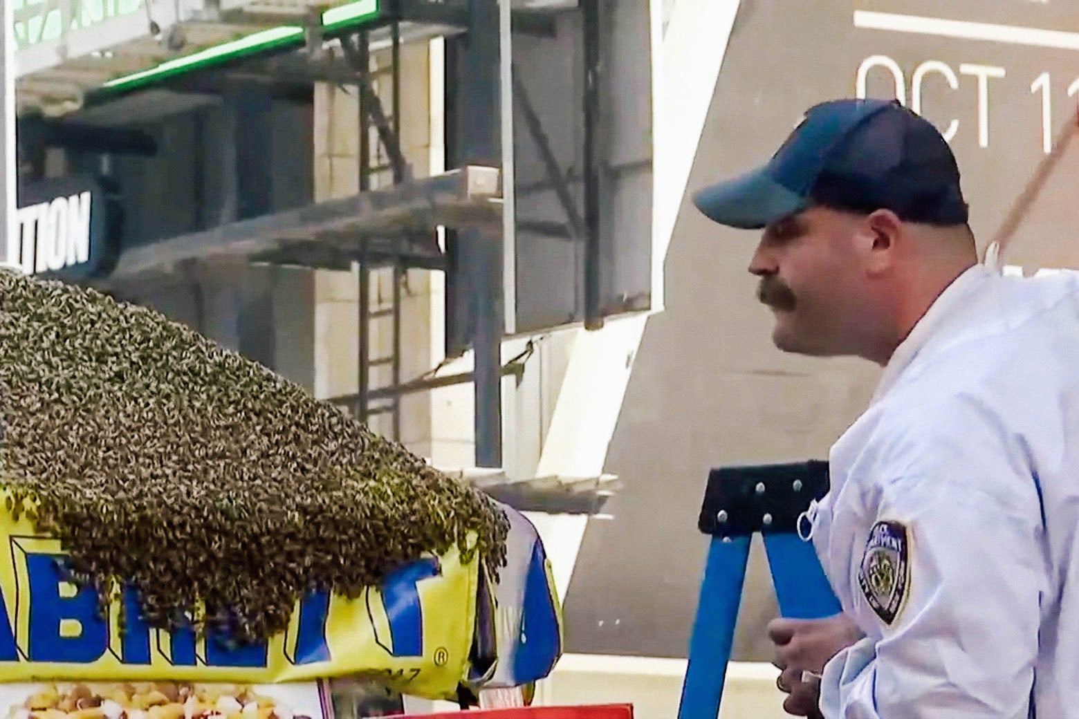 The livestream of bees swarming Times Square is a cinematic masterpiece.