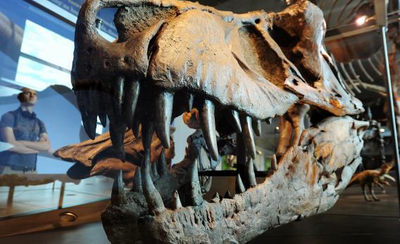Dinosaur farts created global warming and climate change with massive ...