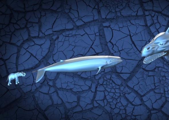 What was the Bloop? Explanations for the sound recorded in the Pacific ...