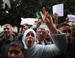 The Jasmine Revolution: How did the Tunisian protests and other recent ...