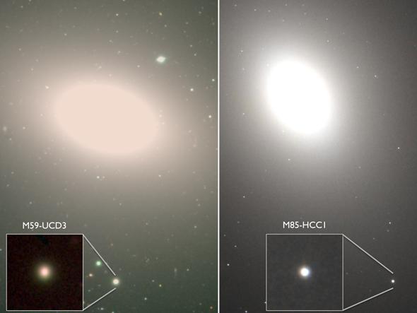 Ultra Compact Dwarfs: Tiny mighty galaxies.