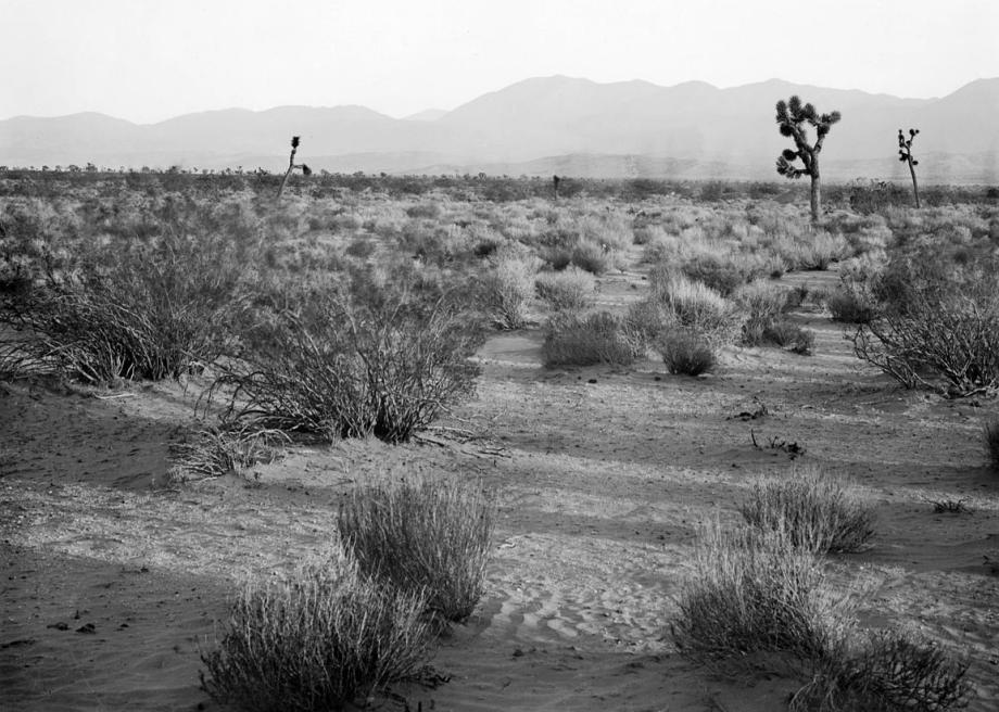 Mojave phone booth: In the middle of the Mojave Desert sat an anomalous ...