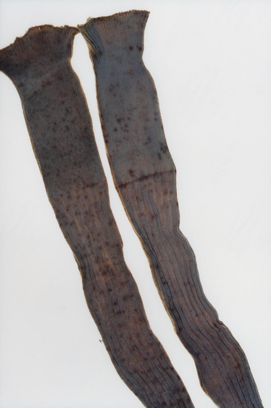 Ishiuchi Miyako photographs remains of the Hiroshima atomic blast from ...