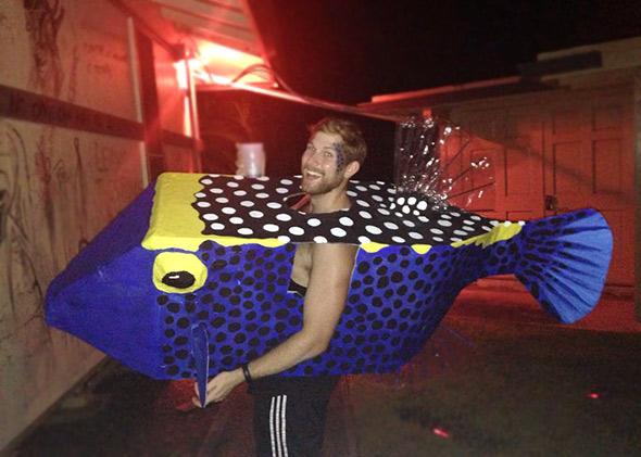 Mercedes-Benz Bionic car: Boxfish stability and agility paradox finally ...