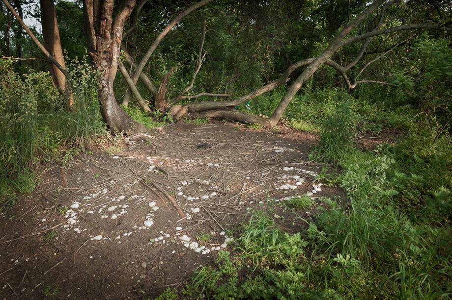 Liminal spaces: Photographs of areas where city meets nature.