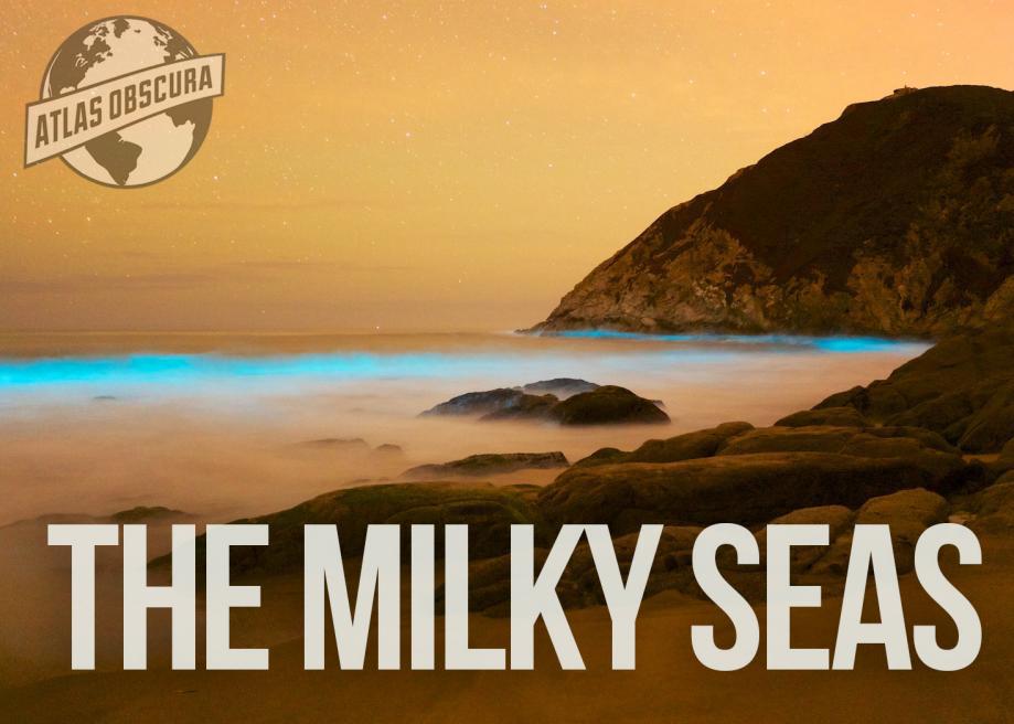 The Milky Seas, the world's largest bioluminescent area was unknown to ...